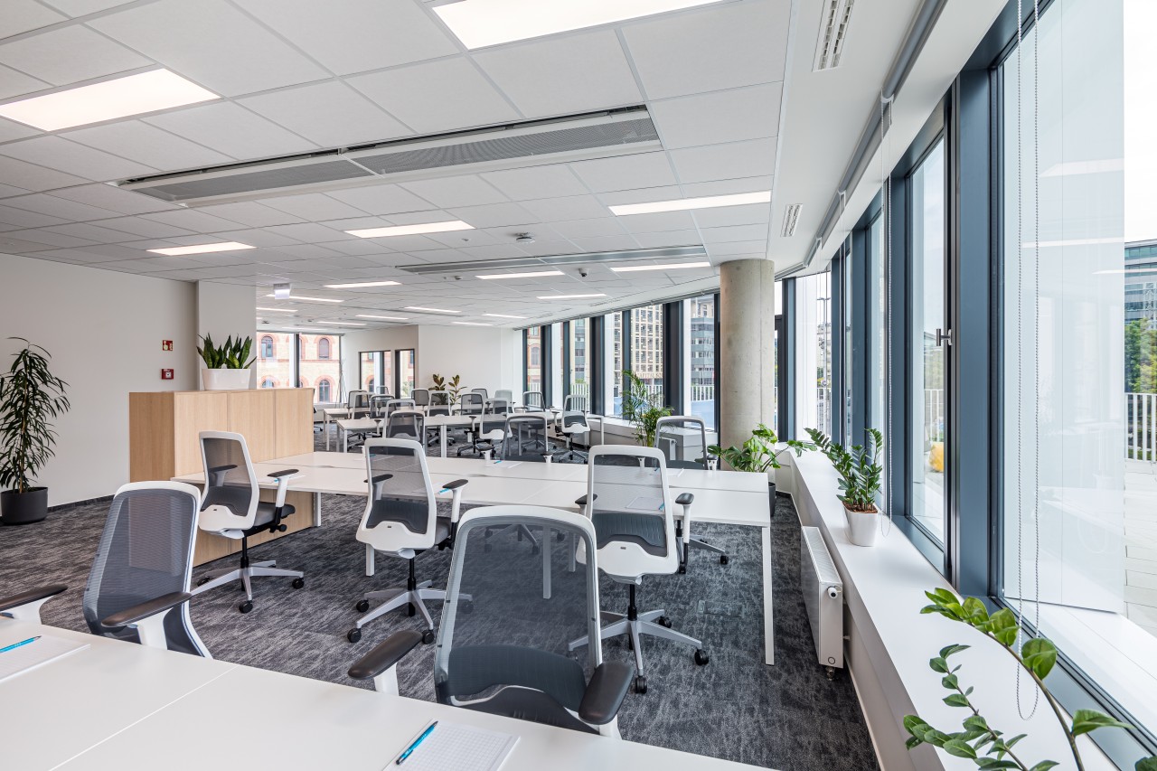 Customizable Office Space: Essential Design Tips | DBH Group